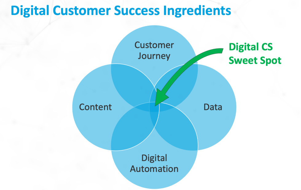 The Digital Customer Success Sweet Spot | The Digital Customer Success